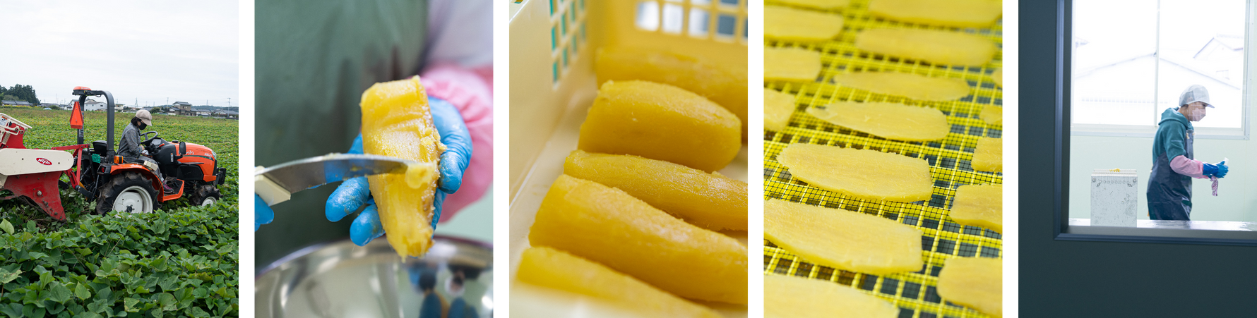 moymo（モイモ）ファミリー【個包装20枚/袋入】